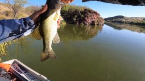 Bass Pro Shops Pond Prowler 8 Boat - Sun Dolphin - Pelican - Mini Boat