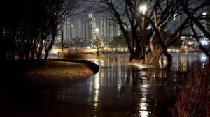 Глубокий сон. Шум дождя в парке у озера 😴 Видео для сна и отдыха