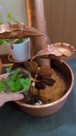 분수대소품물꼿이 #재활용 #페파민트 #수경식물 #인테리어소품