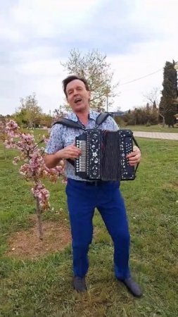 Мечты сбываются когда приходит любовь. Песни под гармонь. Владимир Кузнецов