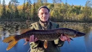 РЫБАЛКА НА ОЗЕРЕ ОСЕНЬЮ