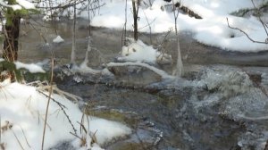 Фонтанчики воды на ручье
