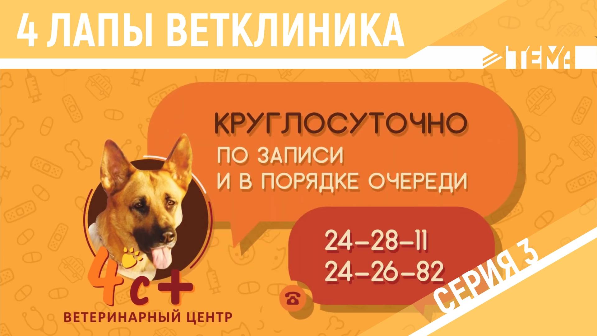Какие специалисты работают в Ветклинике?