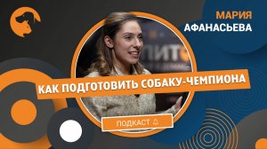 Мария Афанасьева: как подготовить собаку-чемпиона