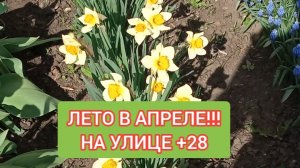 ЛЕТО В АПРЕЛЕ. НА УЛИЦЕ +28. ТЕМПЕРАТУРНЫЙ РЕКОРД. #топыкатегорий