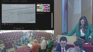 Защита Дегтярева