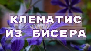 Цветок клематиса  из бисера в технике "Пейот". Бисероплетение. Мастер класс.