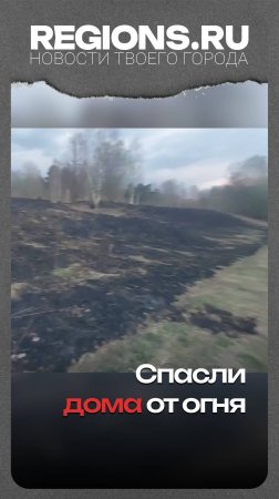 Четыре пала травы за сутки