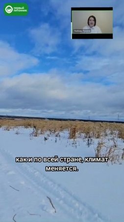Какие регионы подходят для выращивания мискантуса гигантского