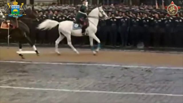 Бабичев Петр Алексеевич, Герой Советского Союза, биография, проект "Чтобы помнили", Тюмень