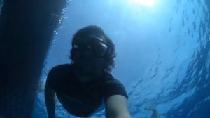 free diving Sharm