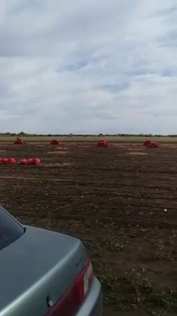 Криптовалюта столько прибыли не даст!