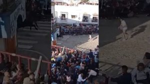 500-килограммовый бык травмировал зрителей на традиционном фестивале в Испании