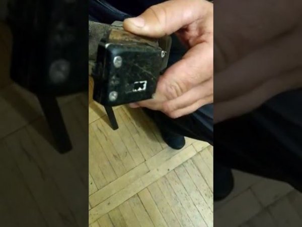 Ошейник самки леопарда Волны