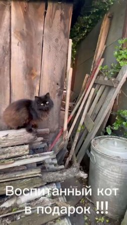 Земельный участок 5,3 сотки. Центр Краснодара, ул. Братьев Игнатовых. Очень редкое предложение!