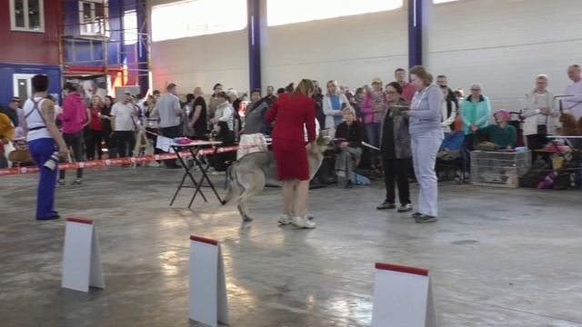 Луций из ИДВ