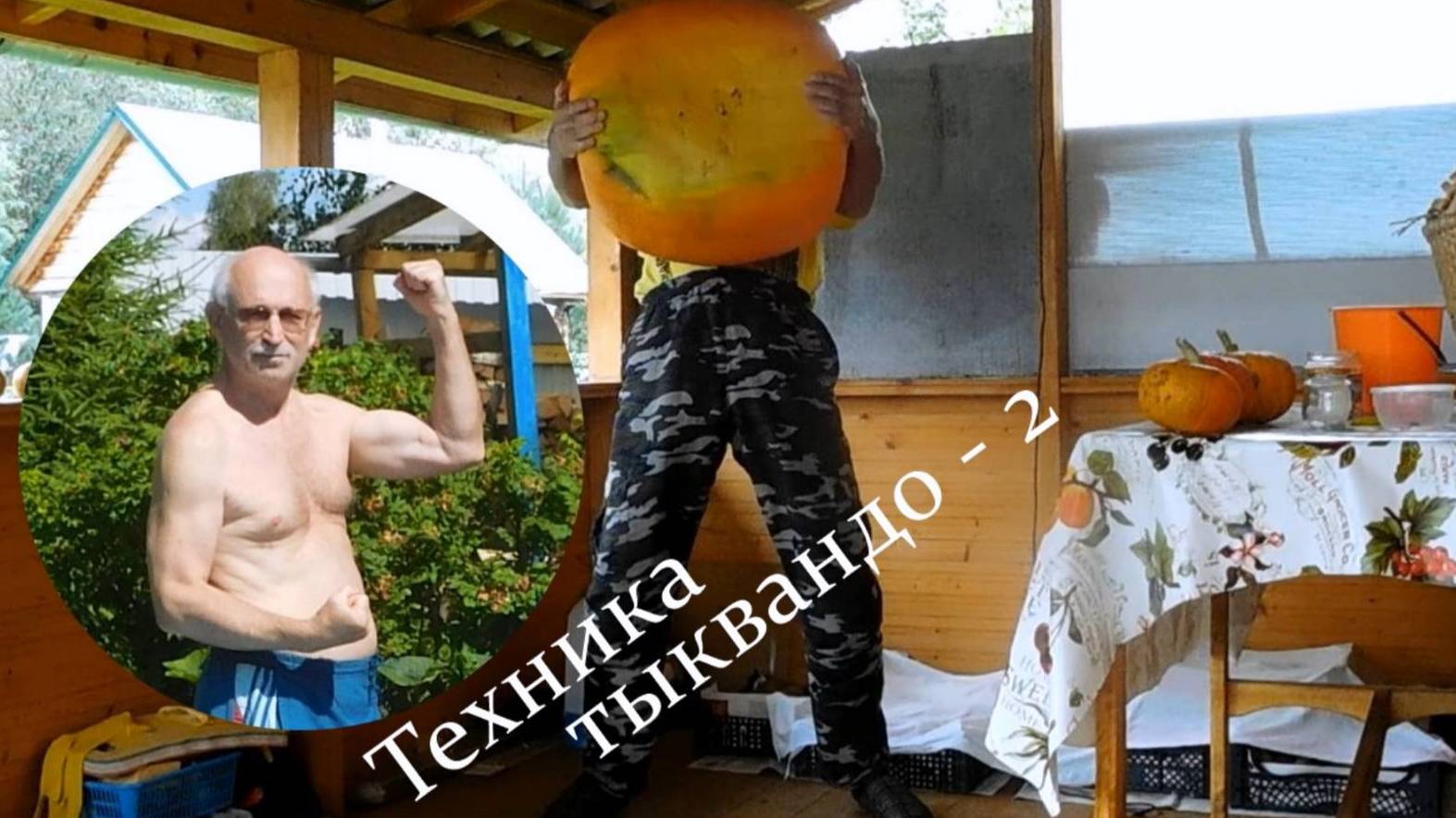 Техника тыквандо - 2.