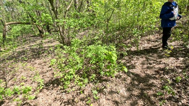 Катаем на питбайках в лес 19.04.2025