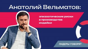 Анатолий Вельматов: эпизоотические риски в производстве индейки
