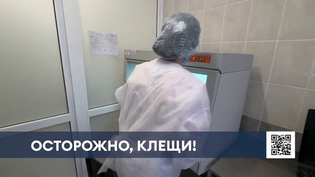 11 детей пострадали: в Нижнекамске резкий рост случаев укусов клещей