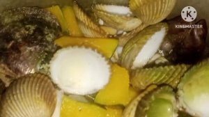 Spicy 🔥 Creamy Sea Clams with Coconut Milk and Squash.  Healthy and Yummy Quick and Easy Recipe