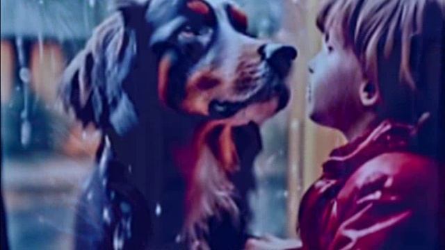 Весенний дождь