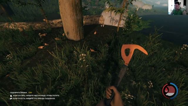 The Forest