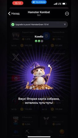 Комбо дня Hamster Kombat 11-12 июня.