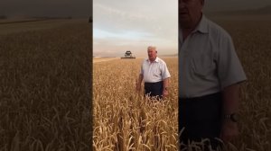 Отличные новости из Красногвардейского района!