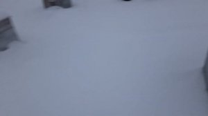 Похозяйничали на пасеке