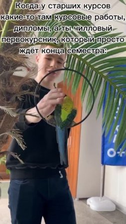 Чилловый первокурсник