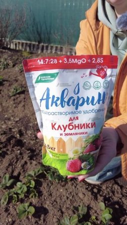 "Акварин" для клубники