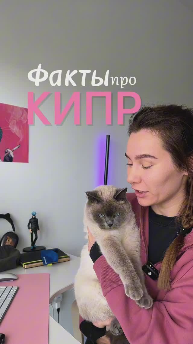 Кипр: официальная резиденция котов 🏝️