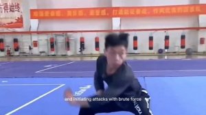 The top 5 animal Kung fu styles / tiger , snake , crane , leopard, dragon