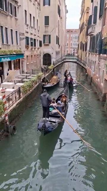 VID-20250413-WA0051