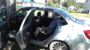 В Ивановской области полицейскими пресечена нелегальная заготовка лесоматериалов