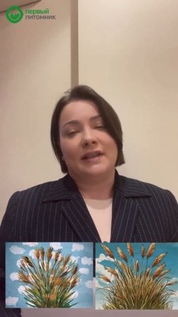 Итоги Открытого конкурса детского творчества «Мискантус гигантский глазами детей»! Номинация Как выг