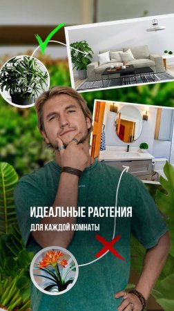 🍀❓Как подобрать растения для каждой комнаты? Ошибки при озеленении дома, о которых не говорят!