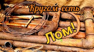 Копаю металл в неожиданных местах. Тактика сработала!