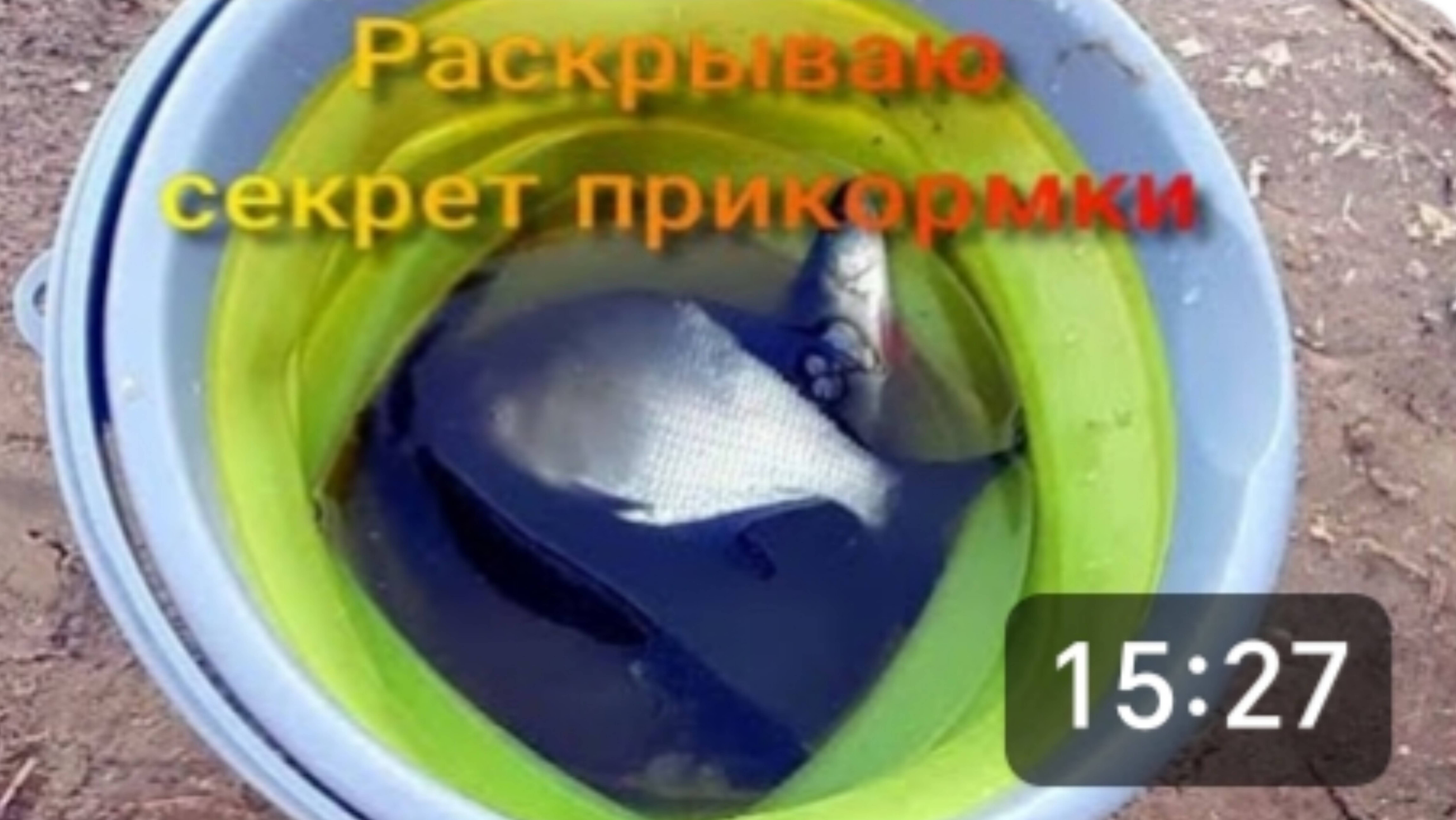 Муж в шоке, раскрыла секрет прикормки. Рыбалка возле дома. Река обмелела.