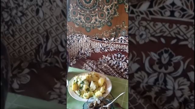 1000028149.mp4