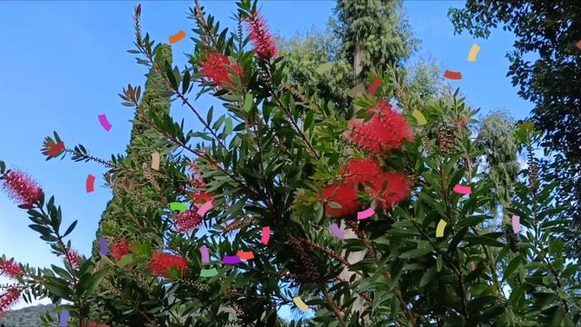 С ДОБРЫМ УТРОМ! ДАЙ НАМ БОГ! ВЫ ТОЛЬКО ВСЛУШАЙТЕСЬ В СЛОВА! ЗА ДУШУ БЕРЁТ!