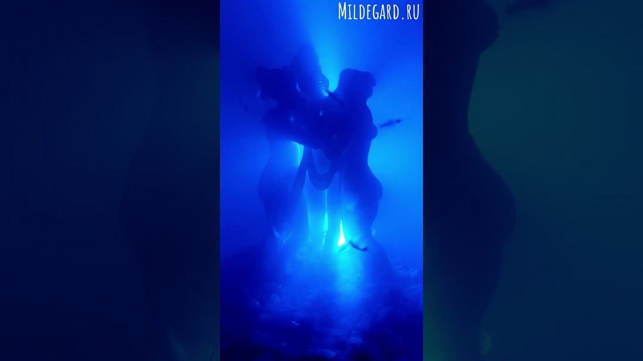 Наши морские обезьянки из фикспрайса в аквариуме с синей подсветкой. Статую печатали на 3D принтере.