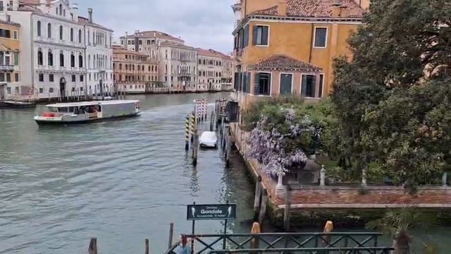 VID-20250413-WA0052