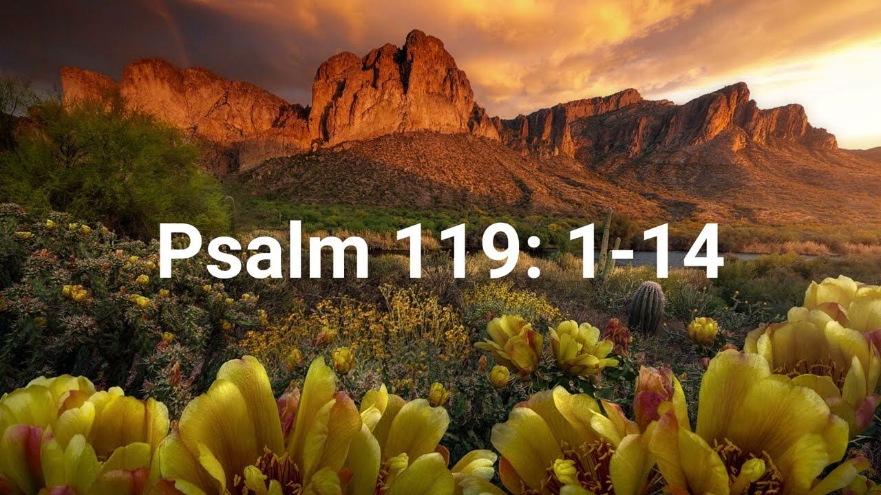 psalm 119:1-14