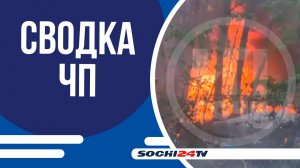 К ЧЕМУ ПРИВЕЛА БЕСПЕЧНОСТЬ ОДНОГО ИЗ ОТДЫХАЮЩЕГО НА ПРИРОДЕ?