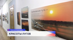 Более 50 работ представили нижегородцы на выставке в Законодательном Собрании региона