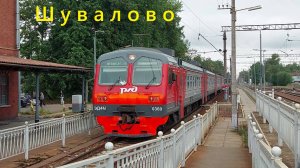 Электропоезд ЭД4М на платформе "Шувалово" в Санкт-Петербурге