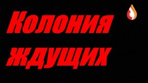Колония ждущих