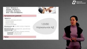 Кровеносная система человека. Круги кровообращения и сосуды.